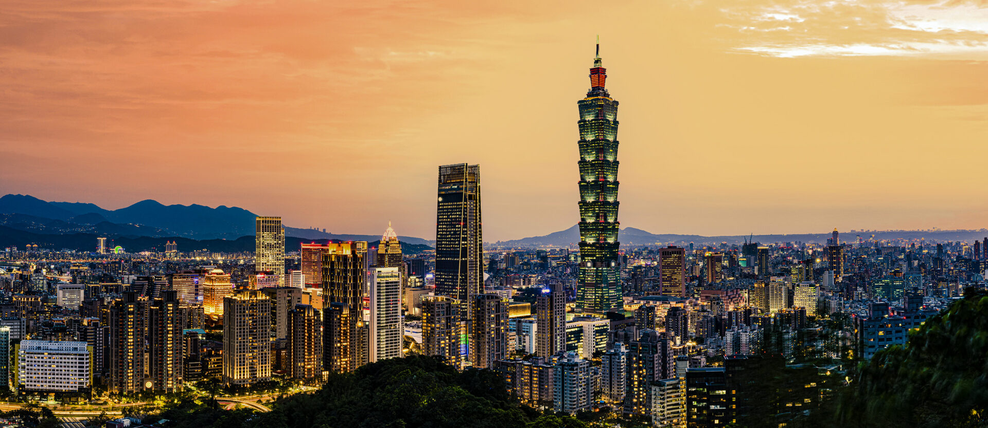 Basic Information - Twinhead