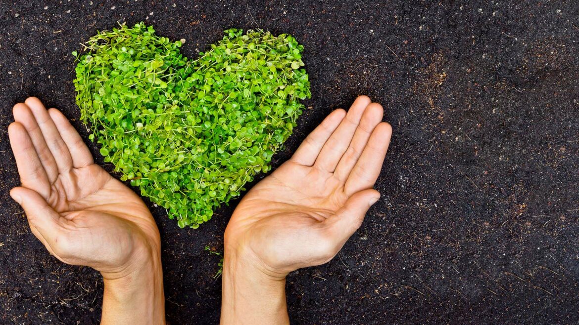 Environmental Protection - Twinhead