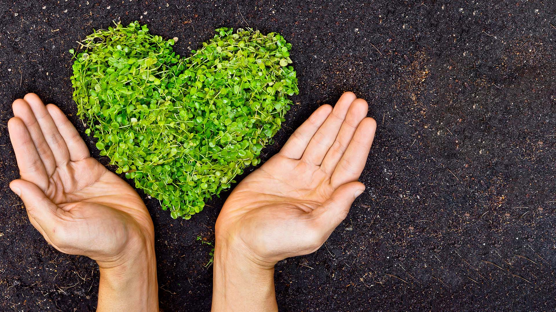 Environmental Protection - Twinhead